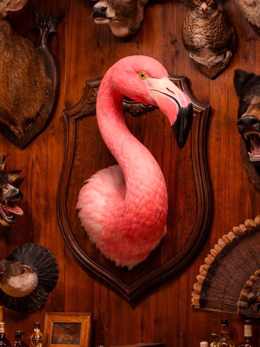 Flamingo Trophy Mount Sculpture Preorder - (limit 1st) - Etsy