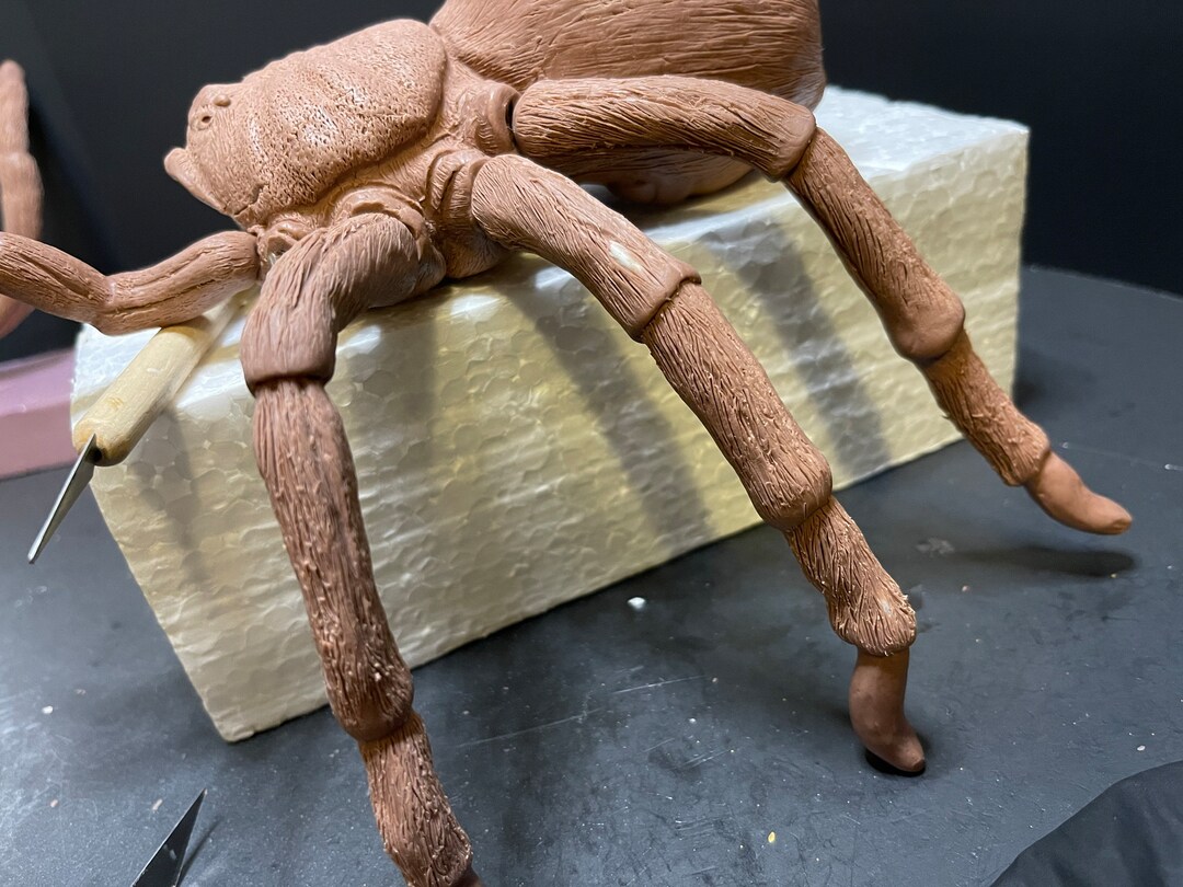 Goliath Birdeater Tarantula Spider Sculpture Diorama Real - Etsy