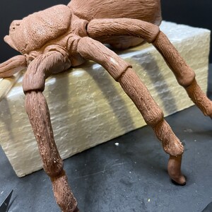 Goliath Birdeater Tarantula Spider Sculpture Diorama, Real Scale - Etsy