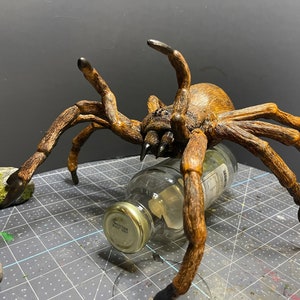 Goliath Birdeater Tarantula Spider Sculpture Diorama, Real Scale - Etsy