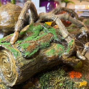 Goliath Birdeater Tarantula Spider Sculpture Diorama, Real Scale - Etsy