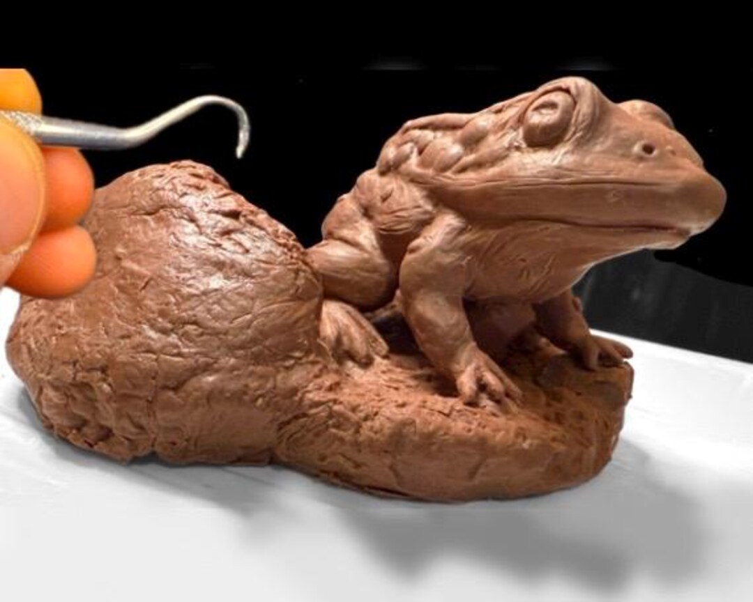 Gopher Frog Sculpture Diorama - Sculpture Preorder: Realistic Sizes ...