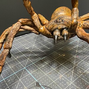 Goliath Birdeater Tarantula Spider Sculpture Diorama, Real Scale - Etsy