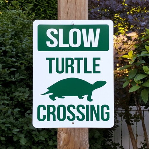 Turtle Crossing Sign Slow Warning Road Sign - Etsy