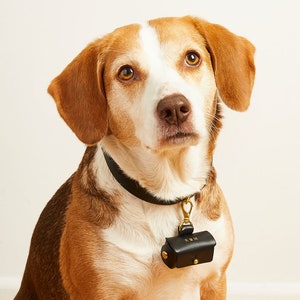 Personalised Dog Proposal Engagement Ring Pouch Pet Proposal - Etsy