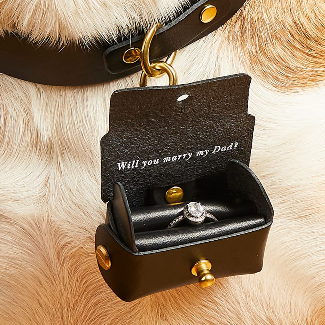 Personalised Dog Proposal Engagement Ring Pouch | Pet Proposal Idea ...
