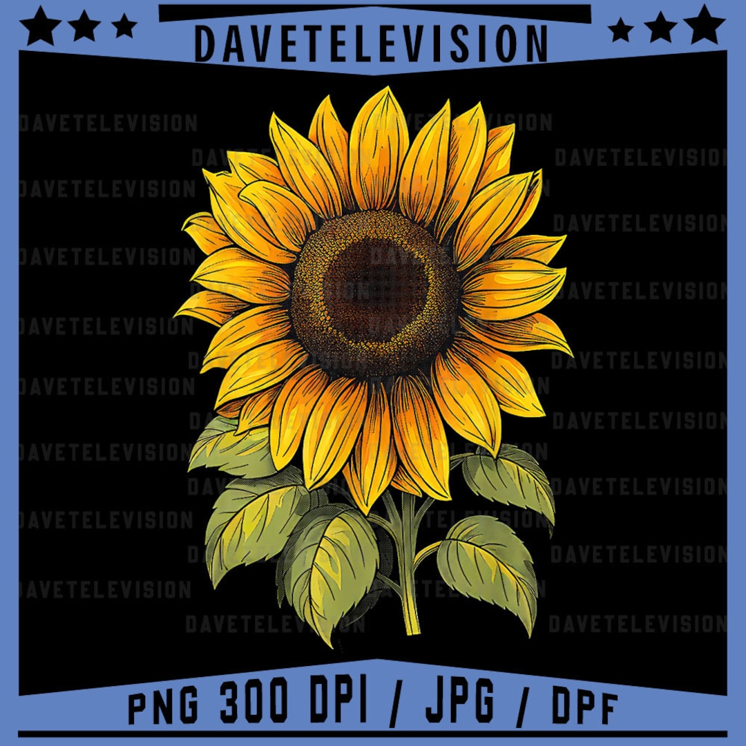 Sunflower Summer Png, Cottagecore Aesthetic Png, Summer Png, Sunflower ...