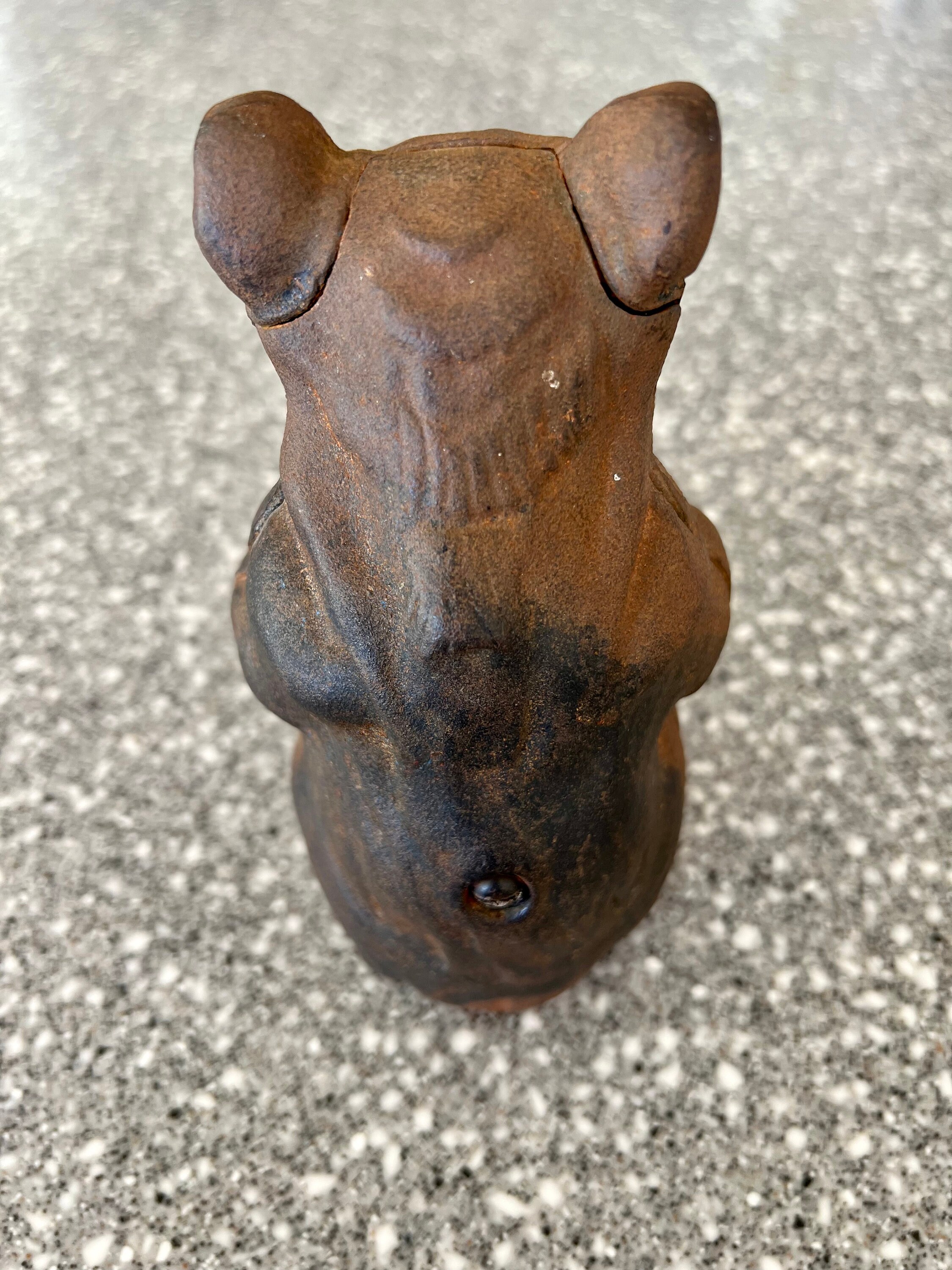 Vintage Cast Iron Bear Bank - Etsy