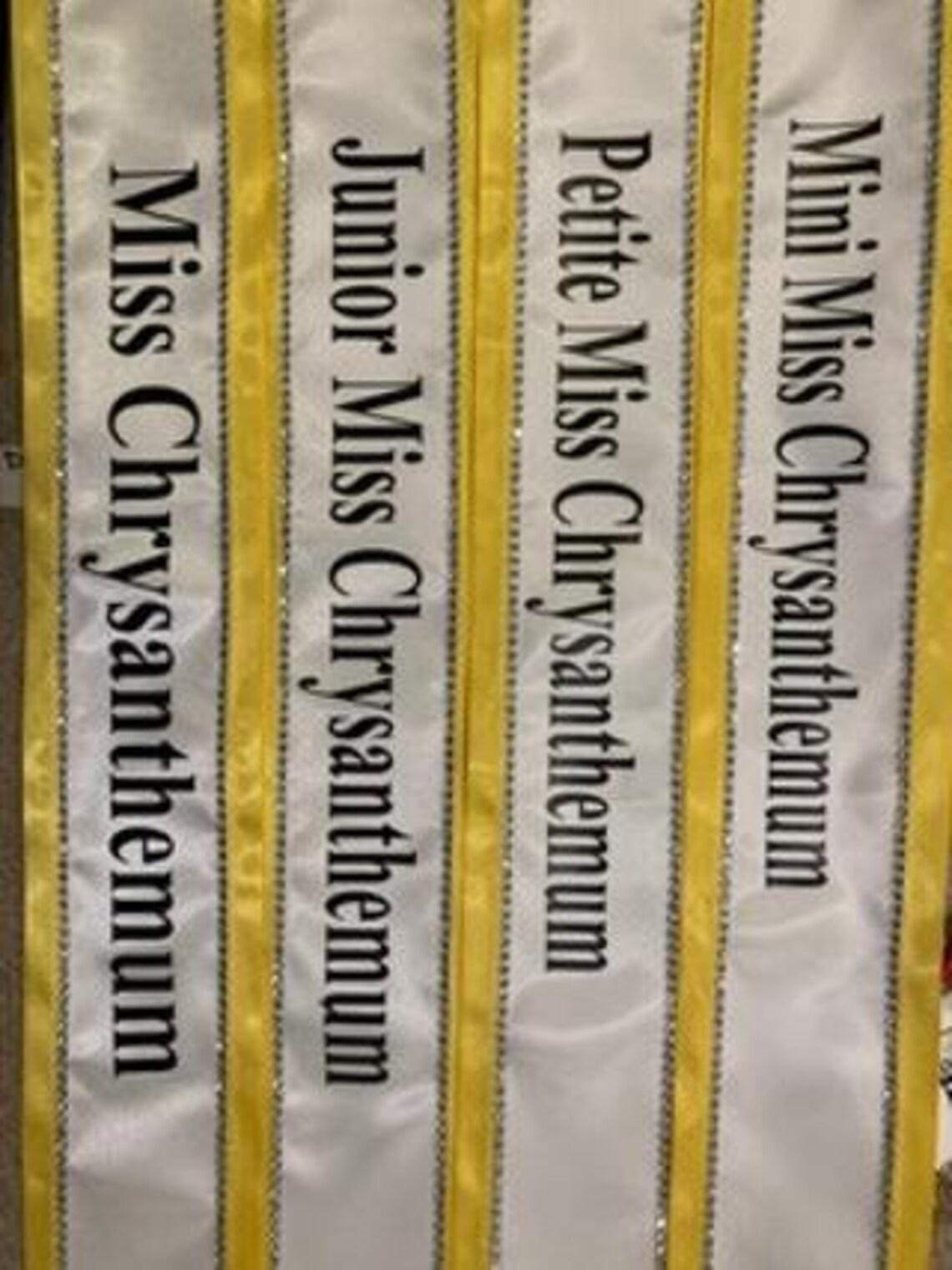Pageant Sash, Birthday Sash, Beauty Pageant Sash, Argentina, Miss ...