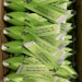 Custom Remembrance Ribbons Pinned and Ready to Wear , Lapel Ribbons ...