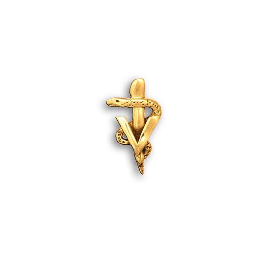 Veterinary Caduceus Lapel Pin 14K Solid Gold - Etsy