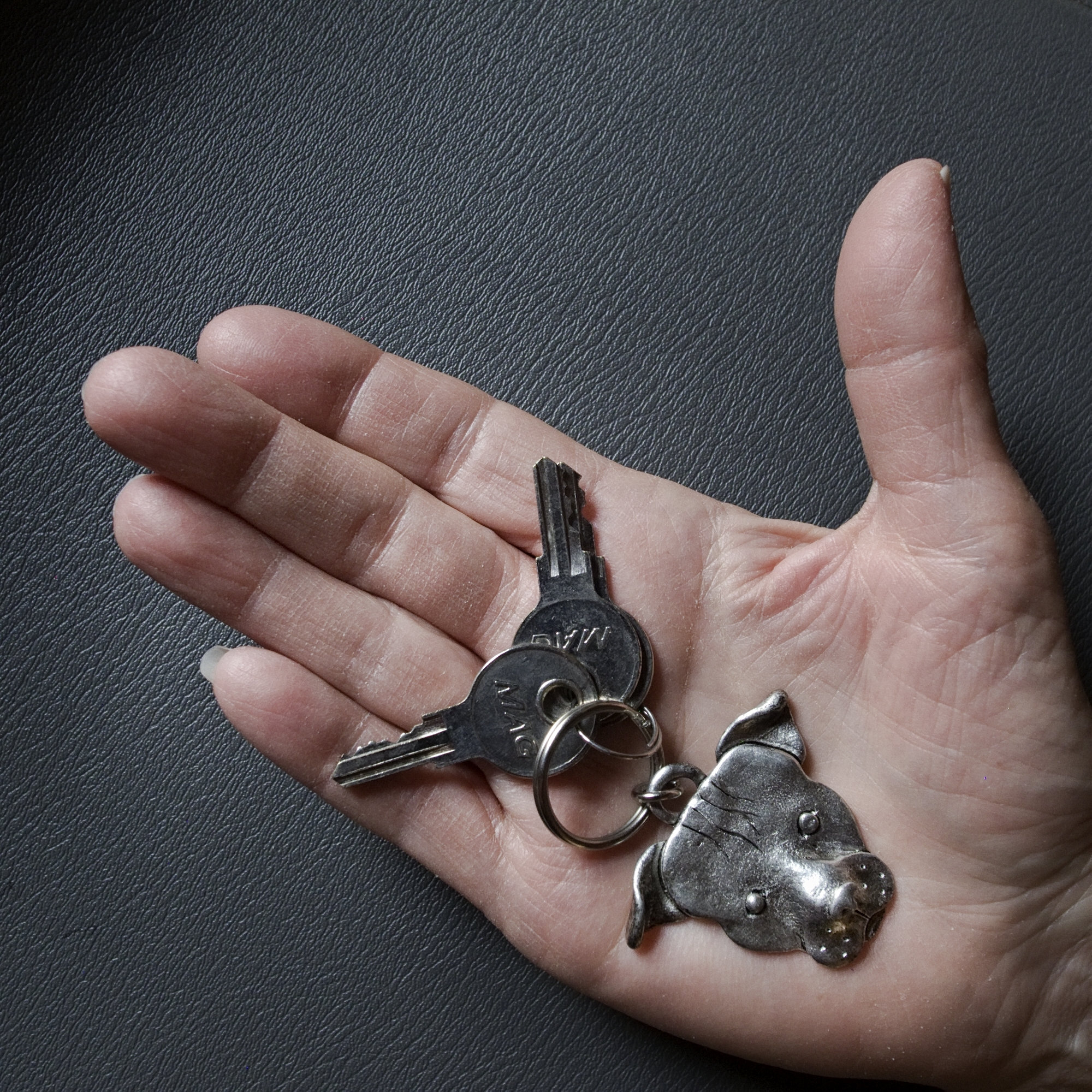 Pit Bull Key Chain - Etsy