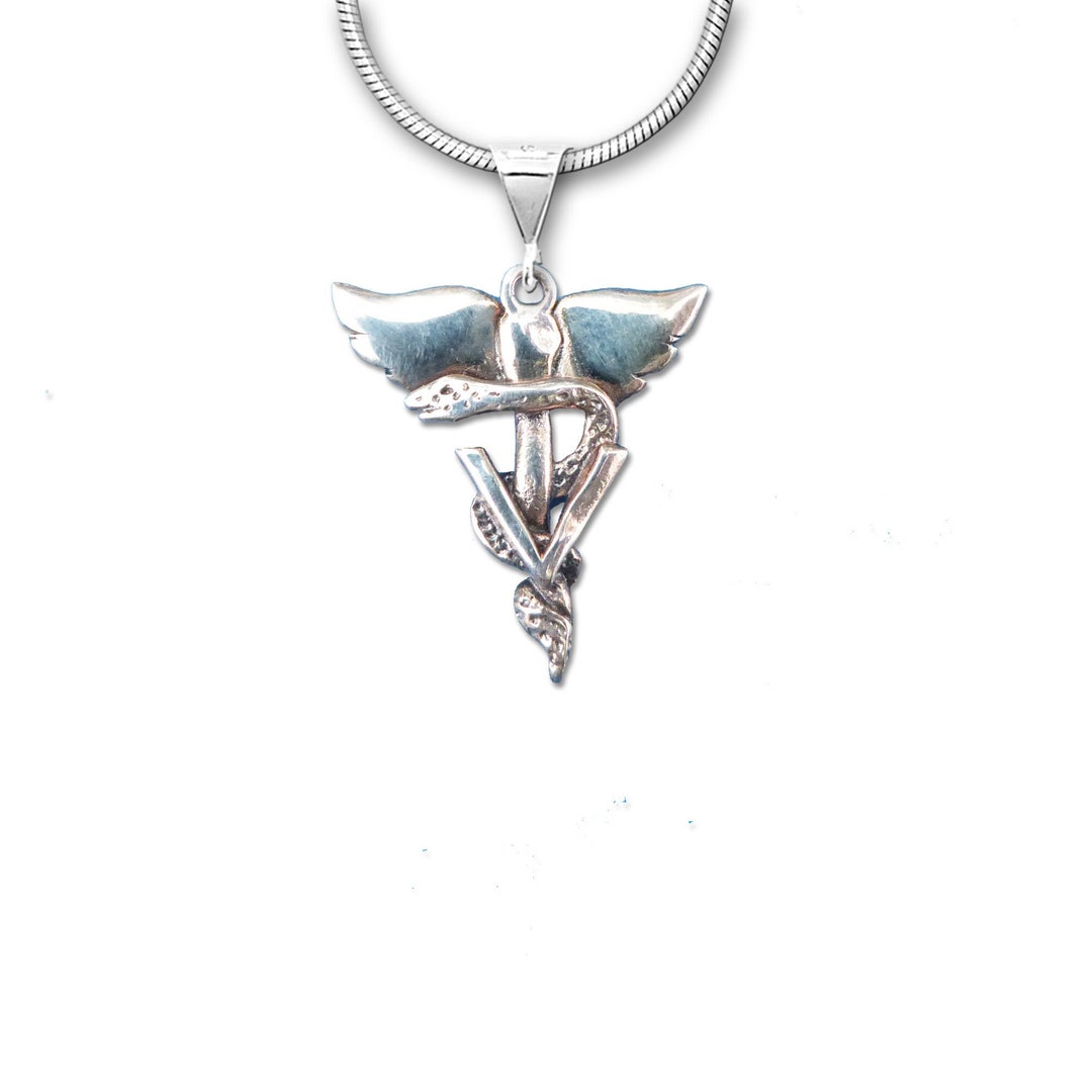 Winged Veterinary Caduceus Pendant - Etsy