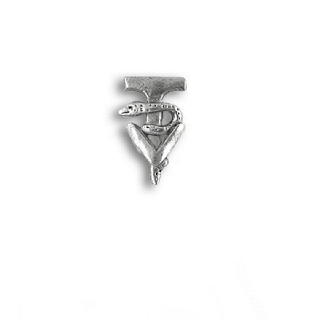 Vet Tech Caduceus Pewter Small - Etsy
