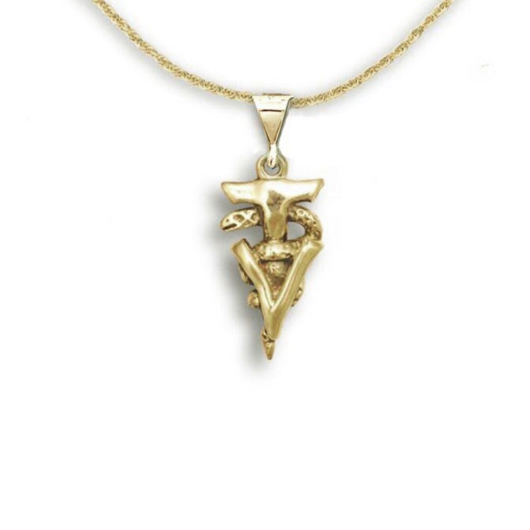 Vet Tech Caduceus Pendant 14K Solid Gold - Etsy