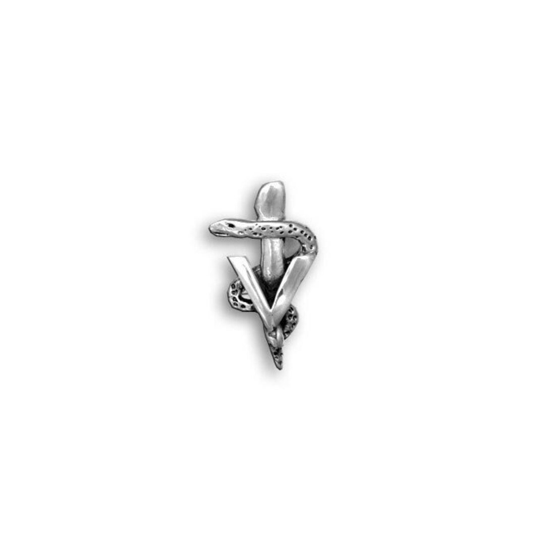 Veterinary Caduceus Lapel Pin Sterling Silver - Etsy