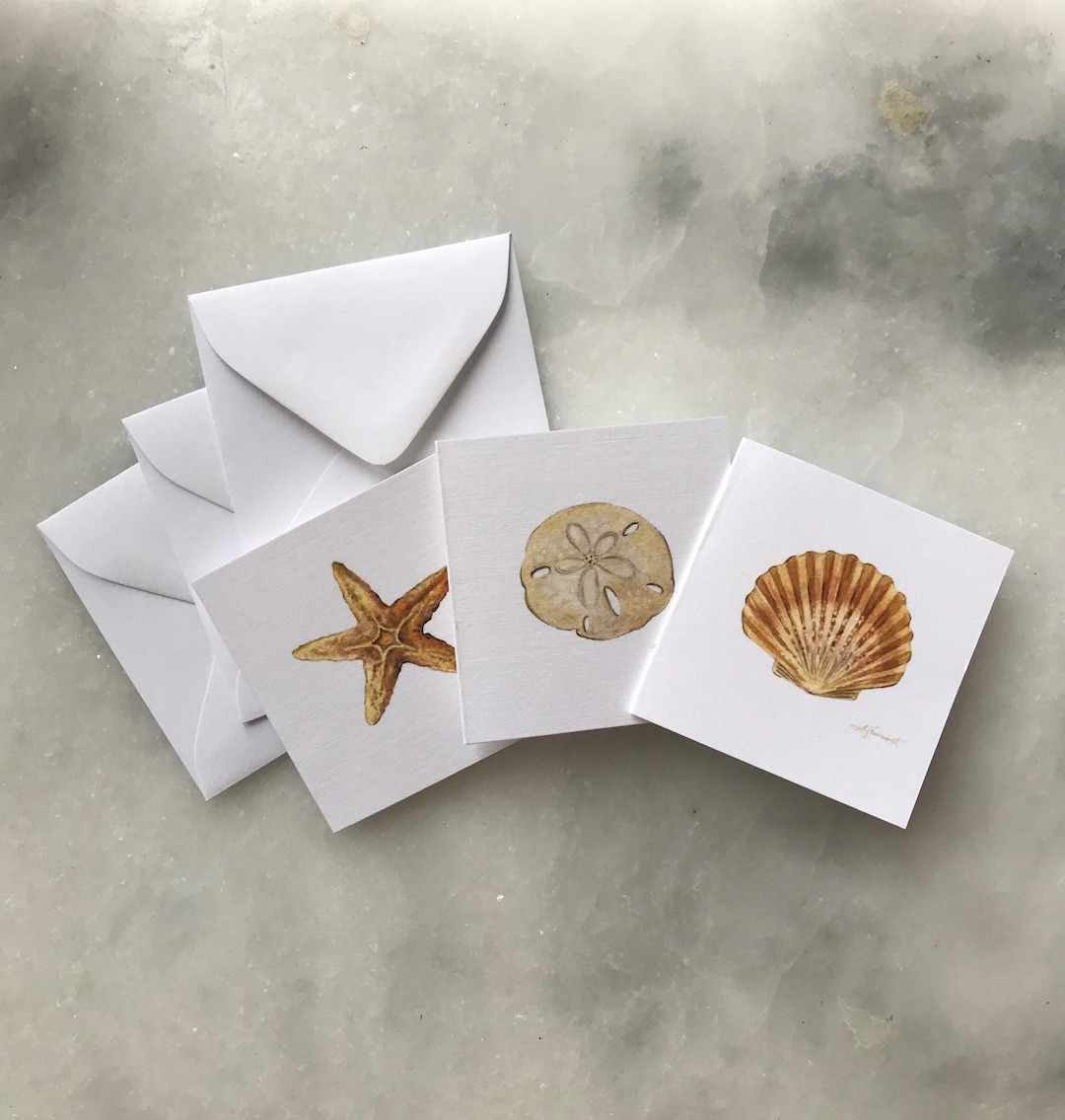 Assortment Coastal Folded Gift Enclosure Cards-blank Inside With ...