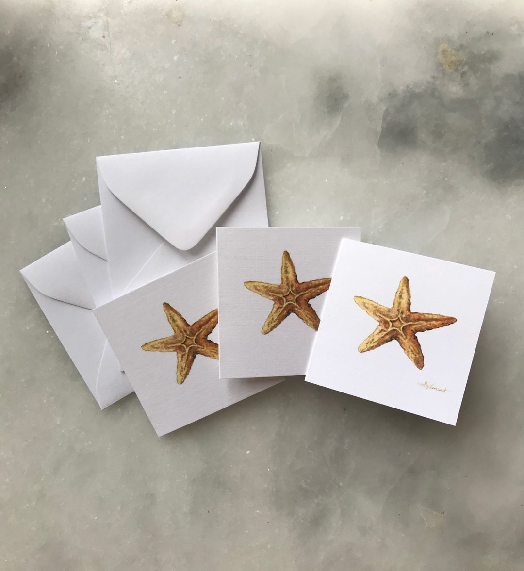 Starfish Folded Gift Enclosure Cards, 3 Pack Square Gift Tags, Mini ...