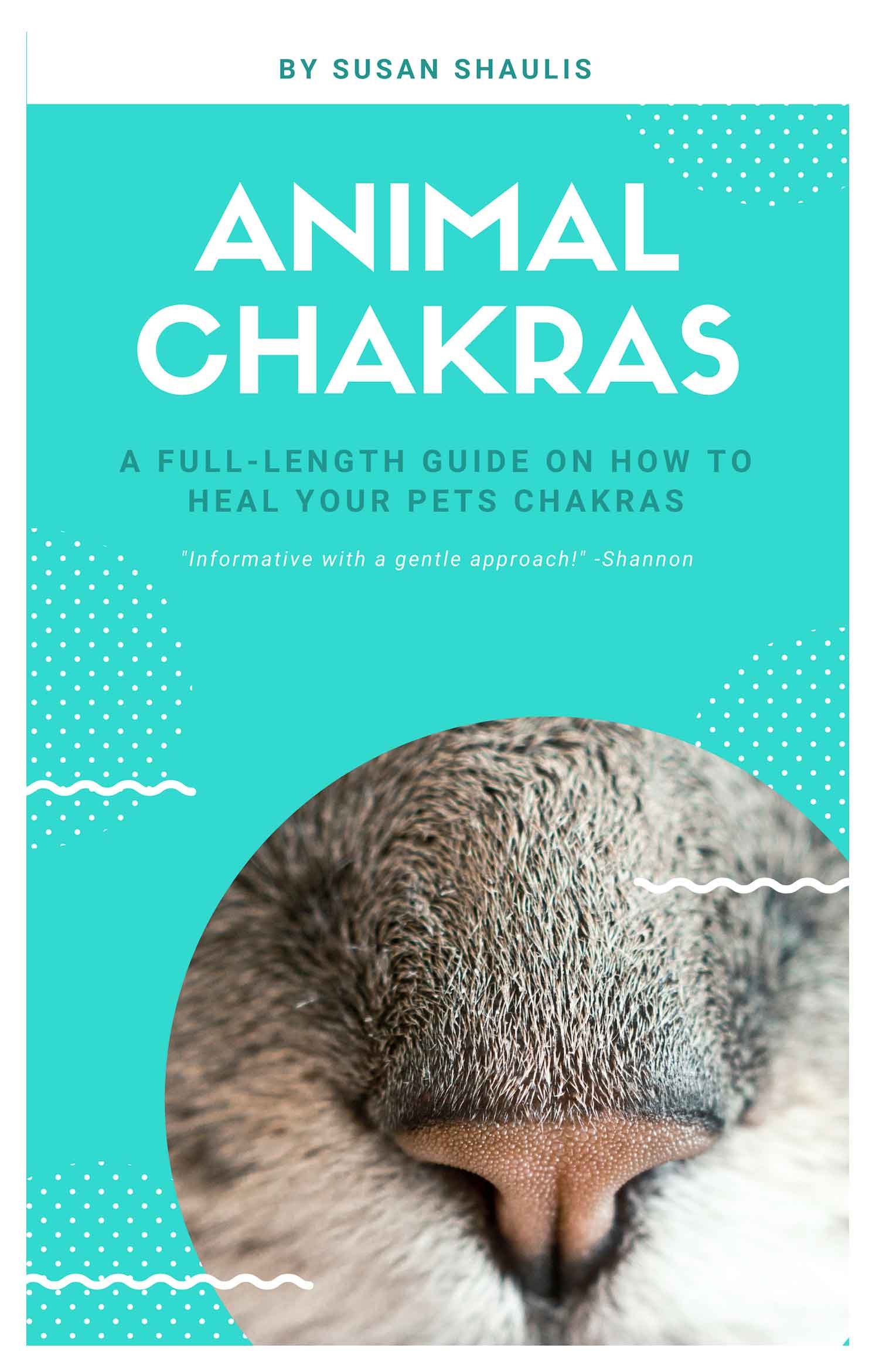 Cat Chakra Chart - Etsy