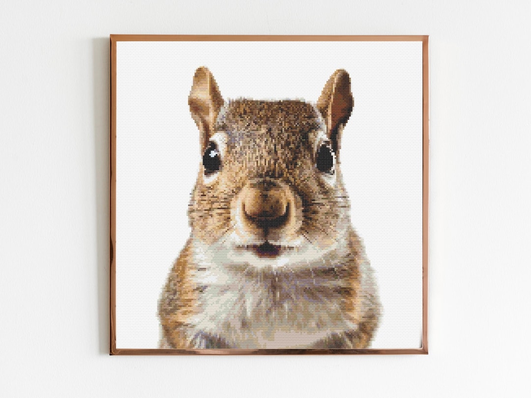Grey Squirrel Cross Stitch Sewing Embroidery Pattern Wildlife Gift Cute ...