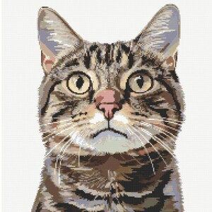Pair of Tabby Cat Cross Stitch Pattern Sewing Embroidery DMC Animal ...