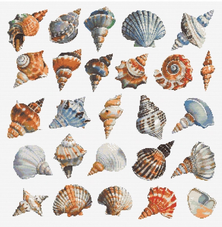 Sea Shells Cross Stitch Sewing Embroidery Pattern Instant DMC Download ...