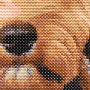 Cavapoo Dog Cross Stitch Pattern Sewing Embroidery DMC Wildlife Africa ...