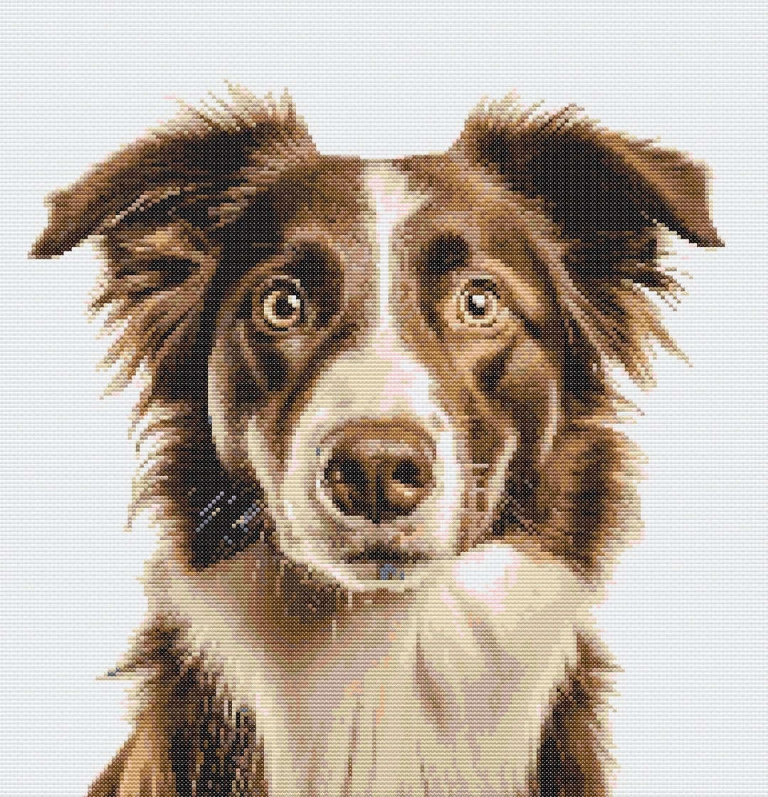 Brown Border Collie Cross Stitch Pattern Sewing Embroidery DMC Wildlife ...