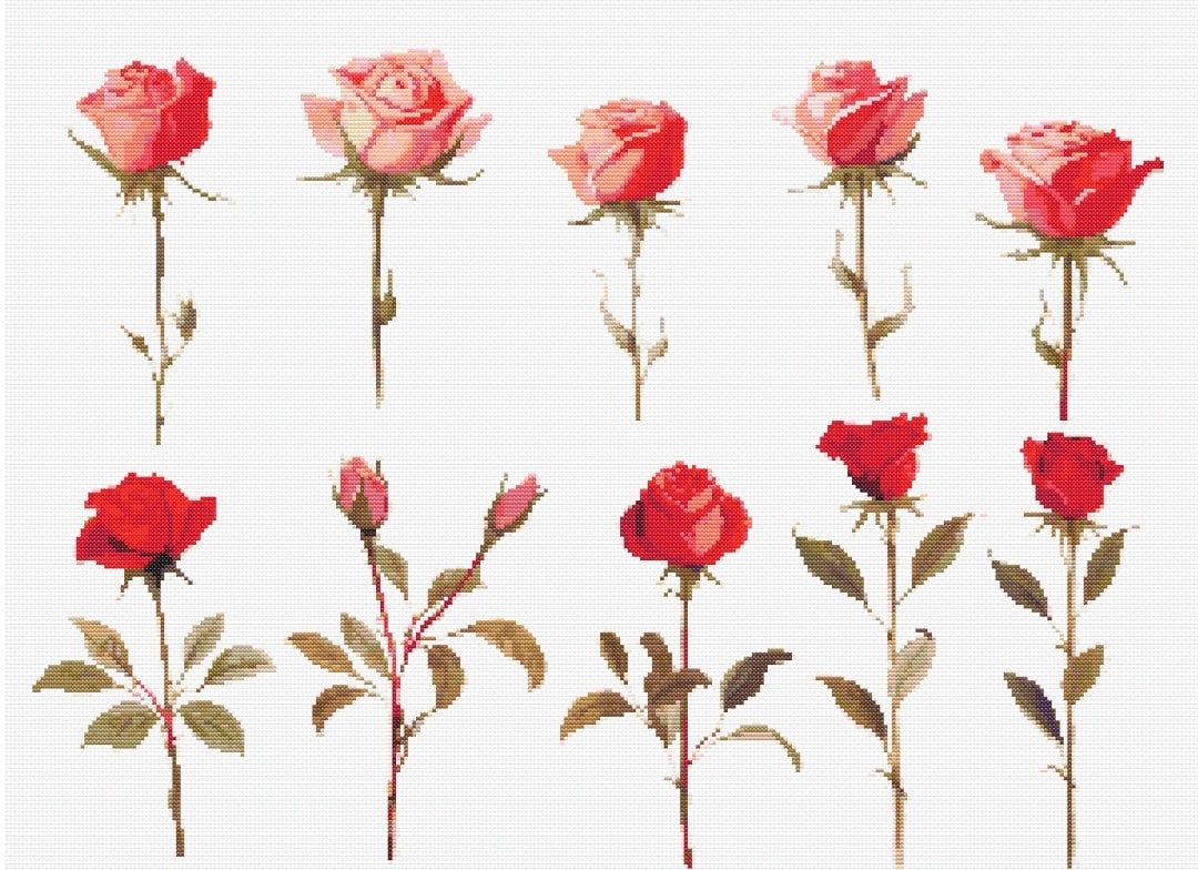 Red Roses Wildflowers Botanical Cross Stitch Sewing Modern Embroidery ...