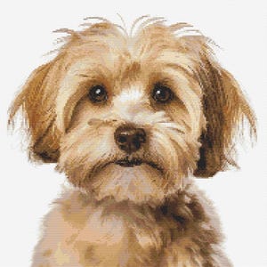 Havanese Dog Cross Stitch Pattern Sewing Embroidery DMC Wildlife Africa ...