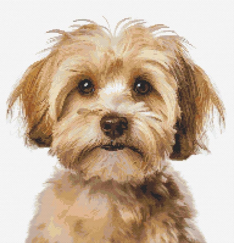 Havanese Dog Cross Stitch Pattern Sewing Embroidery DMC Wildlife Africa ...
