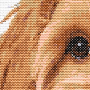 Cavapoo Dog Cross Stitch Pattern Sewing Embroidery DMC Wildlife Africa ...