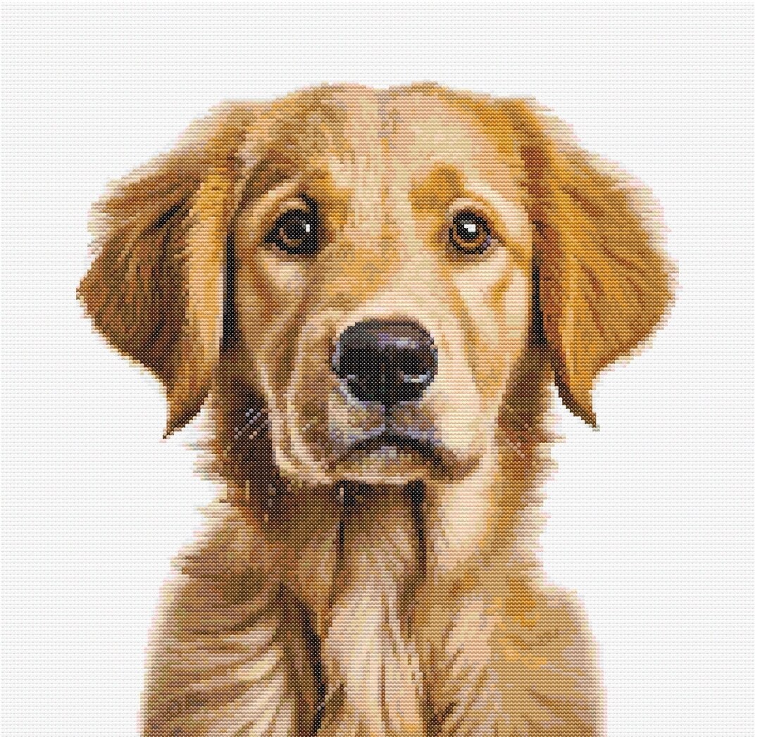 Golden Retriever Cross Stitch Pattern Sewing Embroidery DMC Wildlife ...