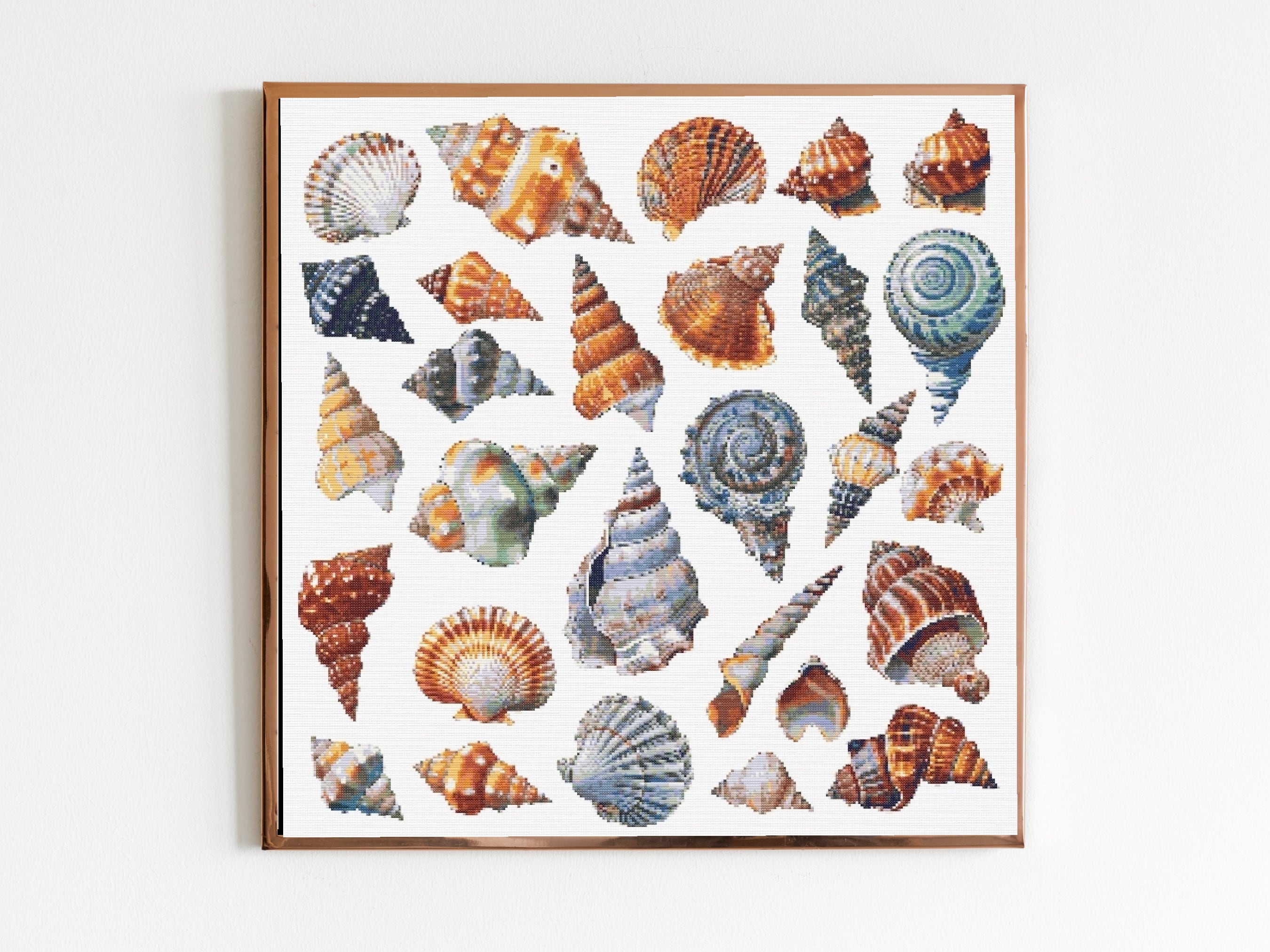 Bay Seashell Template