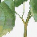 Blue Hydrangea Botanical Cross Stitch Sewing Modern Embroidery Pattern ...