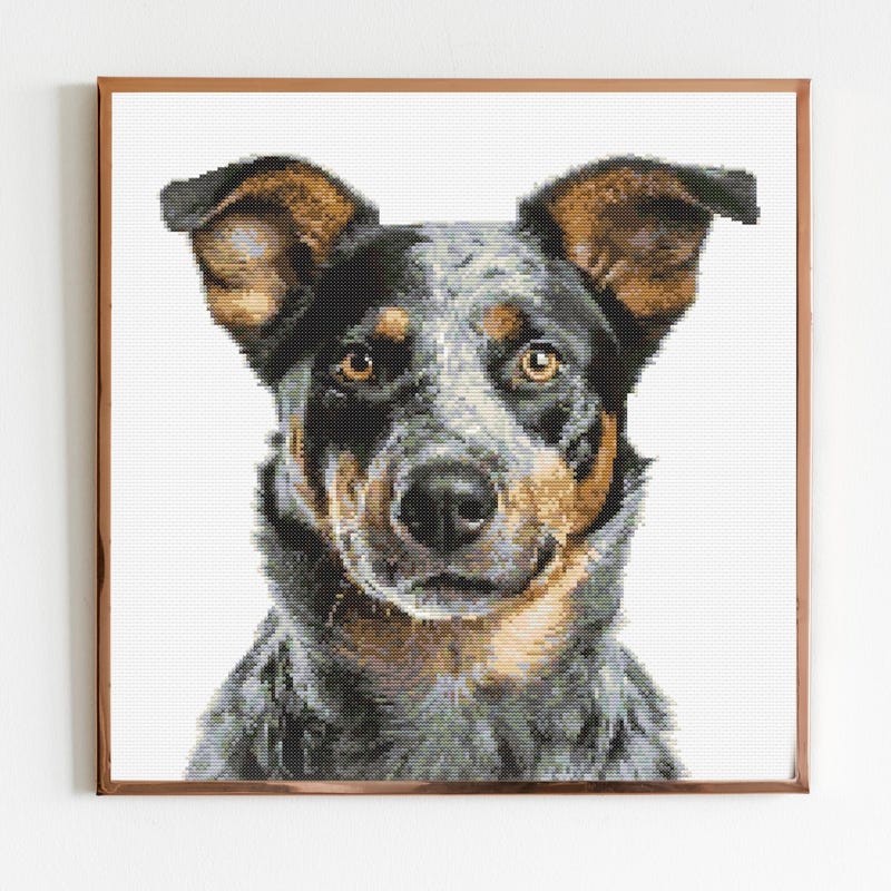 Cross Stitch Blue Heeler - Etsy