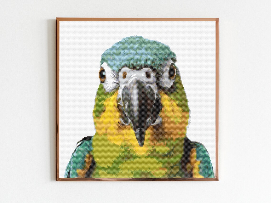 Parrot Cross Stitch Sewing Embroidery Pattern Instant DMC Download Bird ...