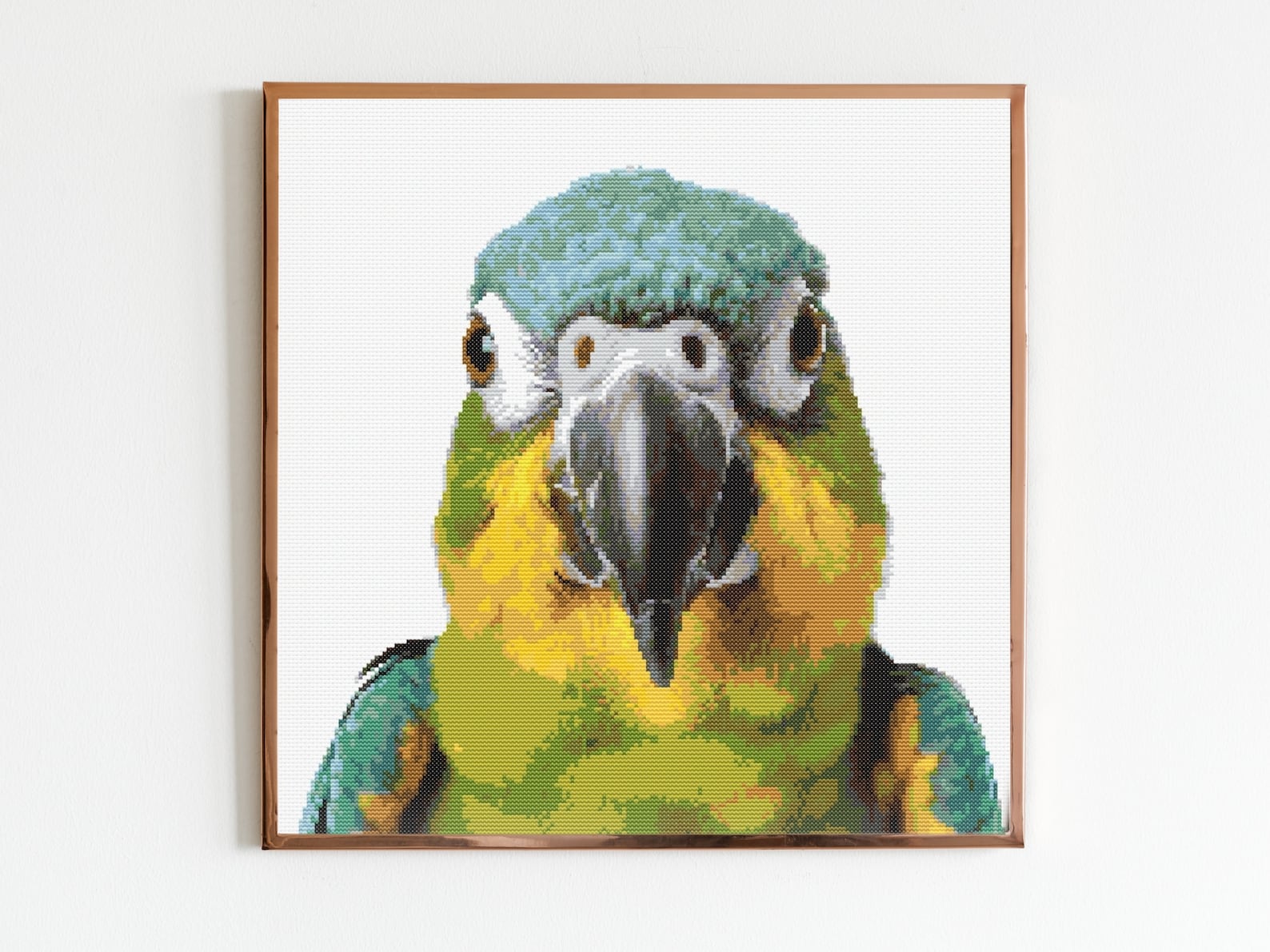 Parrot Cross Stitch Sewing Embroidery Pattern Instant DMC Download Bird ...
