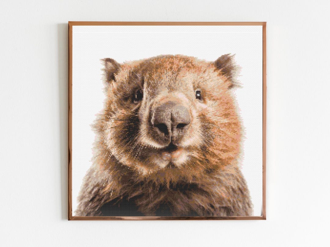 Wombat Cross Stitch Sewing Embroidery Pattern Instant DMC Download Cute ...