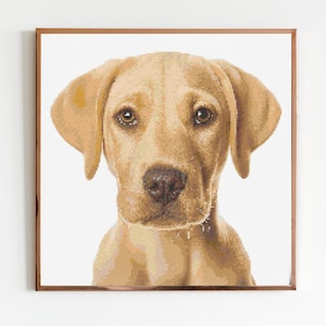 Yellow Lab - Etsy