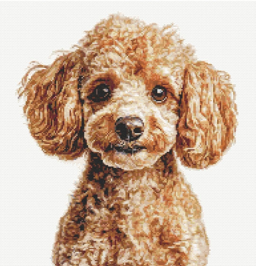 Cute Poodle Dog Cross Stitch Pattern Sewing Embroidery DMC Wildlife ...