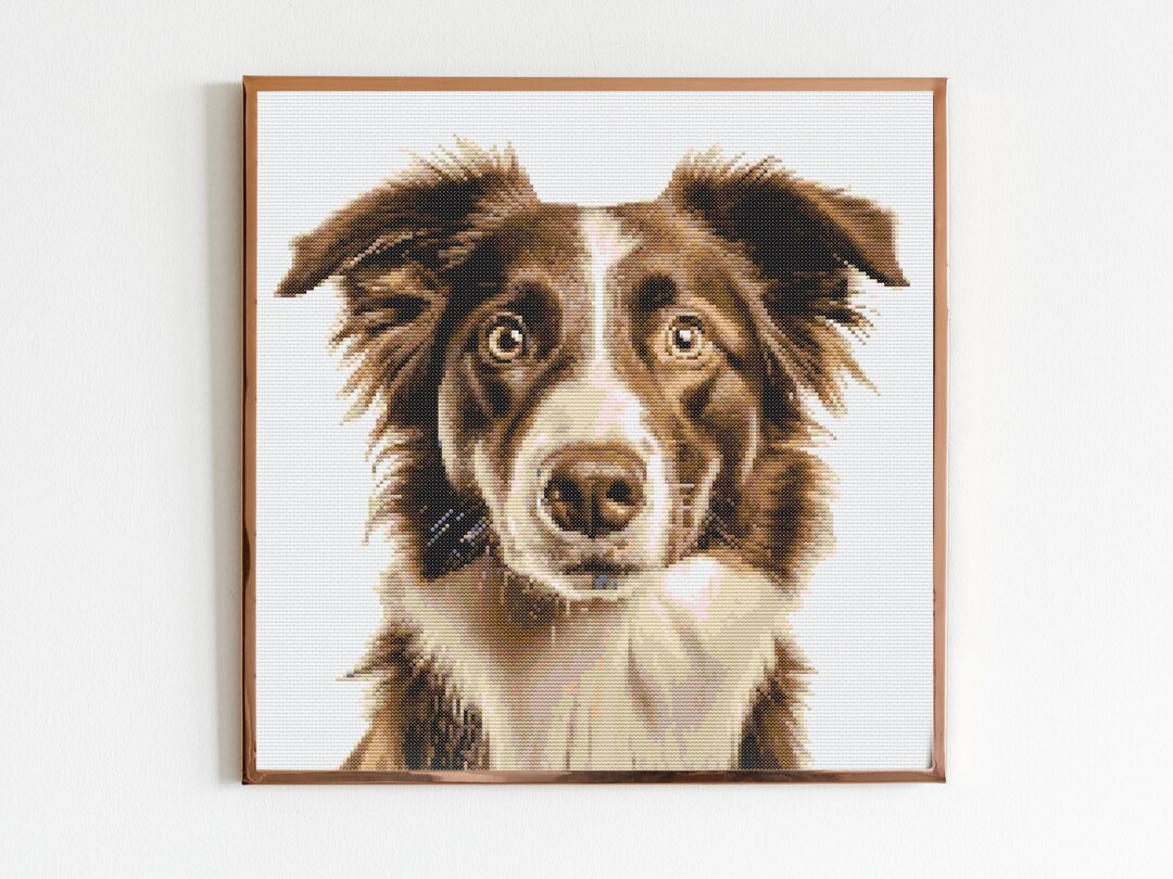 Brown Border Collie Cross Stitch Pattern Sewing Embroidery DMC Wildlife ...