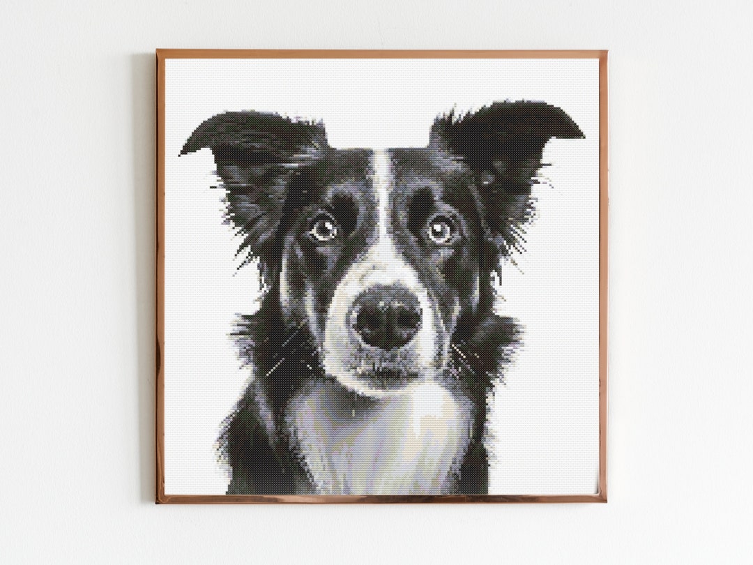 Black Border Collie Cross Stitch Pattern Sewing Embroidery DMC Wildlife ...