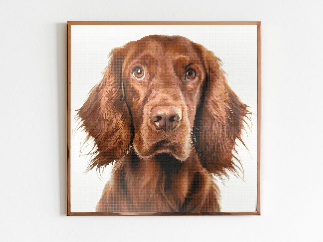 Red Setter Dog Cross Stitch Pattern Sewing Embroidery DMC Wildlife ...
