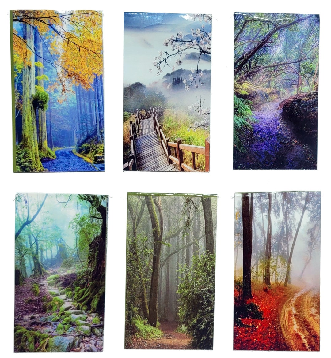 6 Bookmarks - Magnet Bookmarks - Nature Series, 6 in Ea Packet, Misty ...