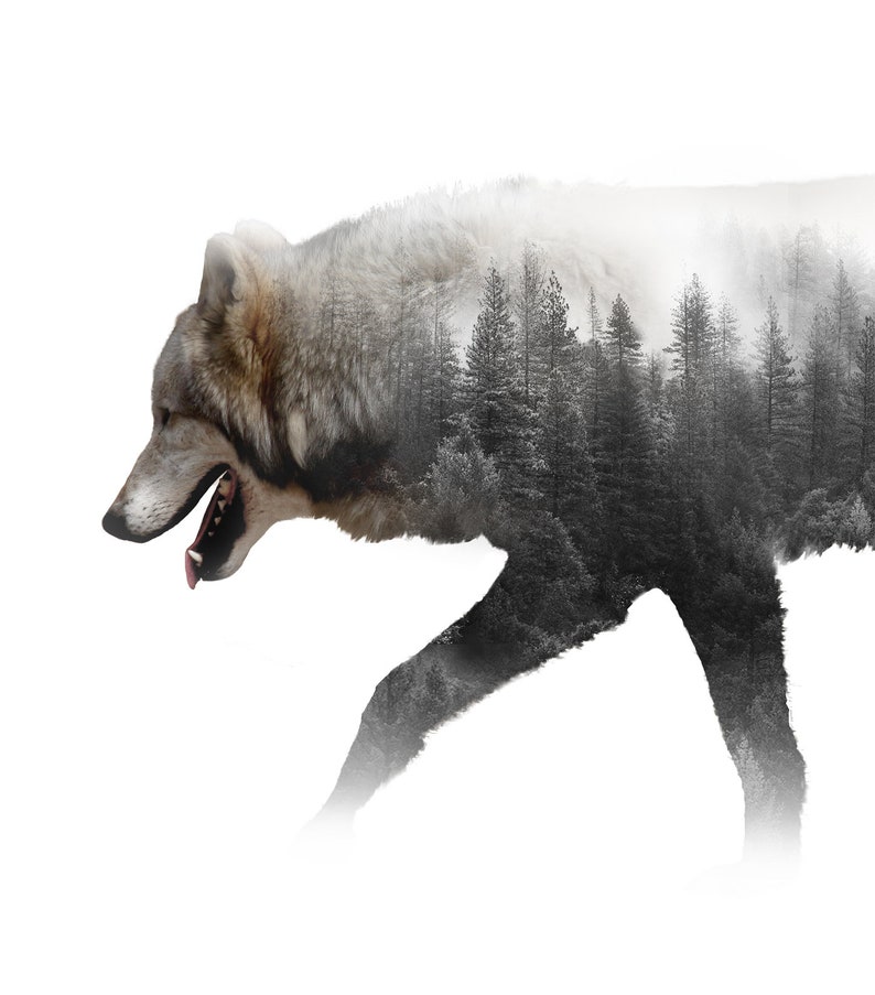 Wolf Picture Wolf Wall Art Nature Art Silhouette Print | Etsy