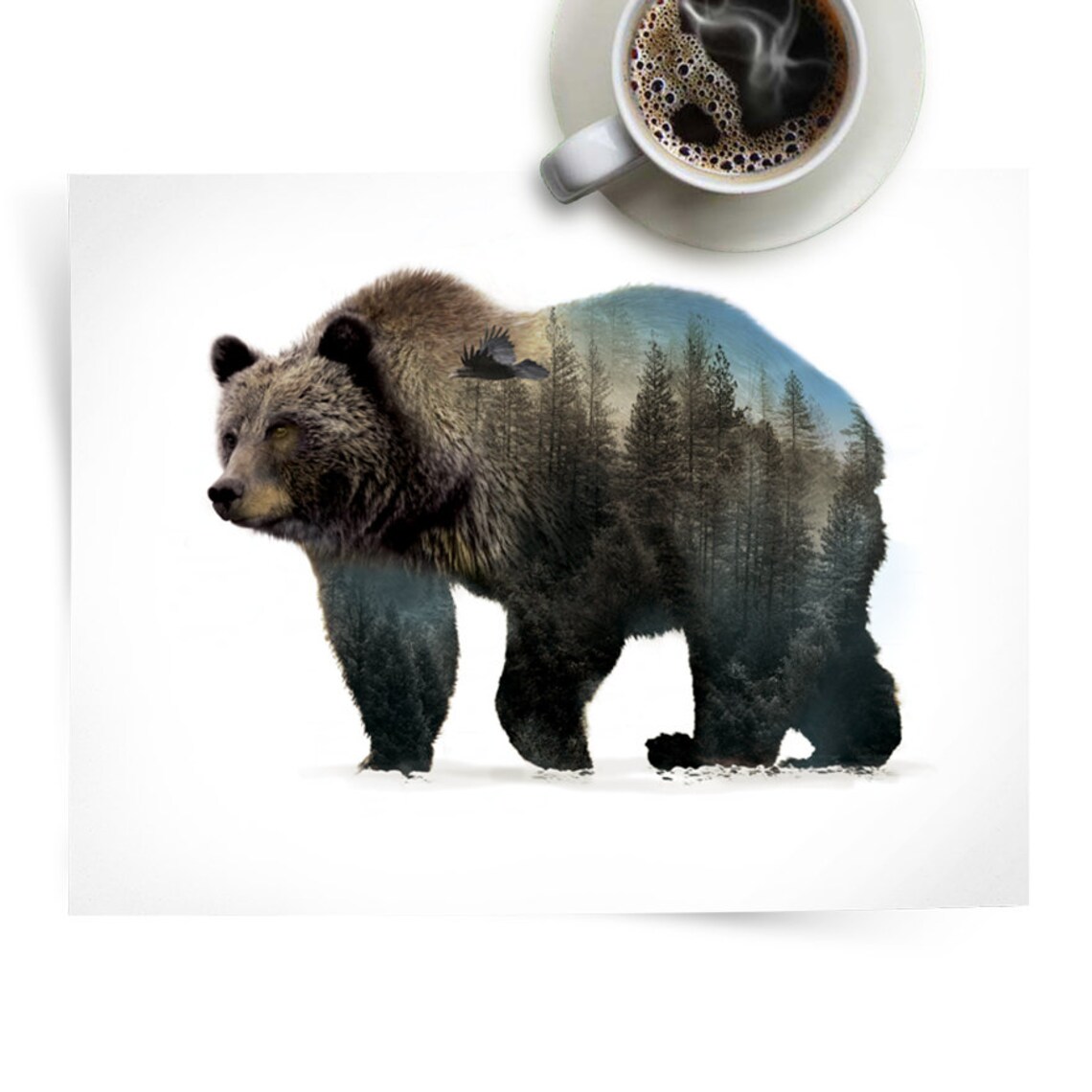 The Grizzly Bear Print Bear Picture Animal Bear Prints - Etsy