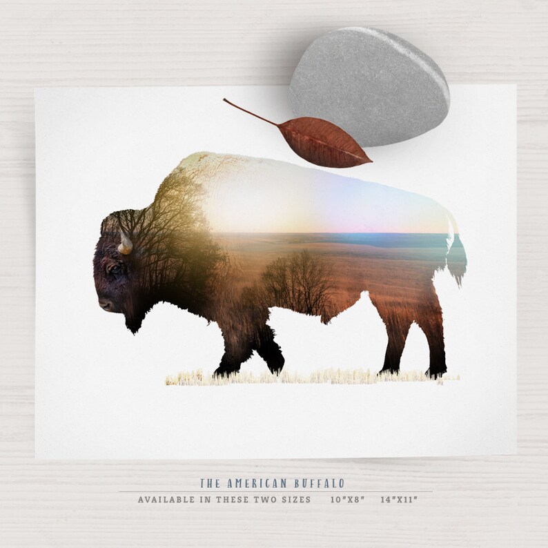 The Buffalo Print Bison Print Buffalo Animal Prints Wall | Etsy