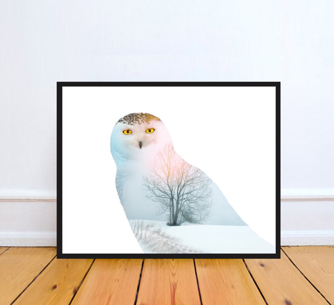 The Snowy Owl Print Owl Print Bird Wall Art Animal Prints - Etsy
