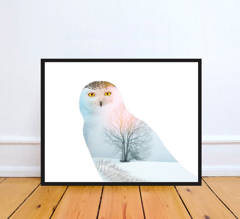 The Snowy Owl Print Owl Print Bird Wall Art Animal Prints - Etsy